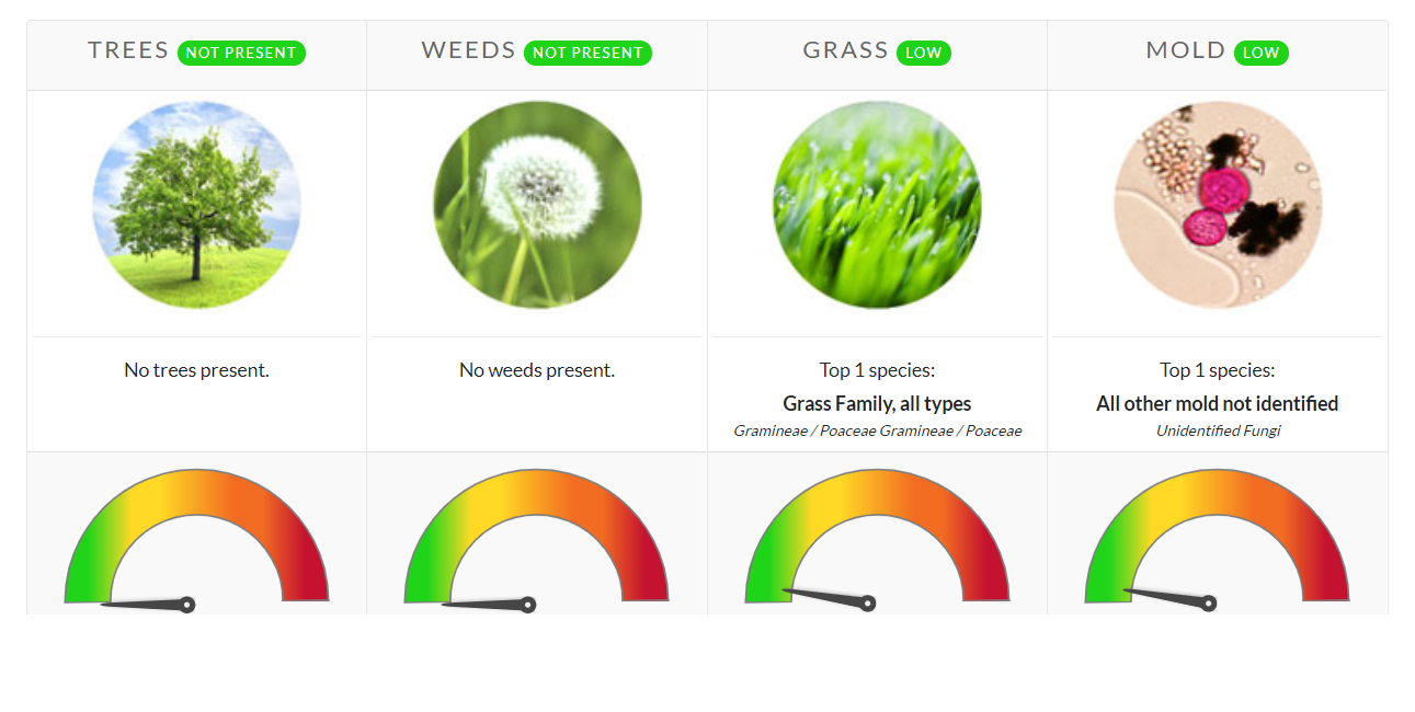 Pollen Count - May 12, 2021 - Family Allergy & Asthma Care