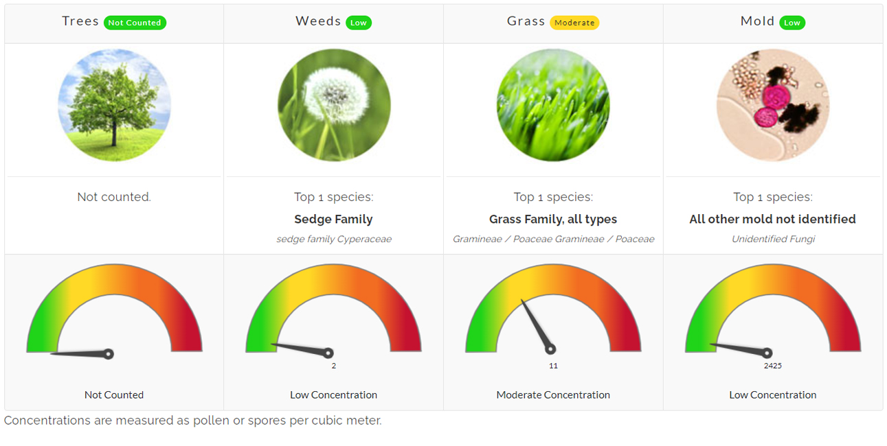 Pollen Count - June 20, 2022 - Family Allergy & Asthma Care