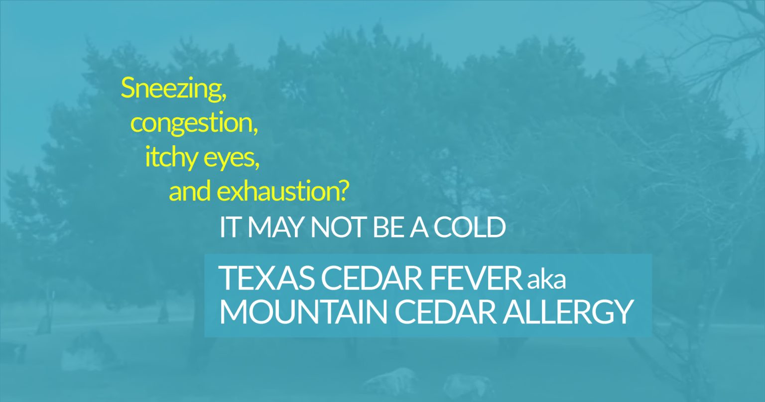 Texas Cedar Fever: What North Texans Need to Know - Family Allergy ...